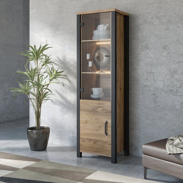 Monango Type Display Cabinet by Wayfair | ufurnish.com
