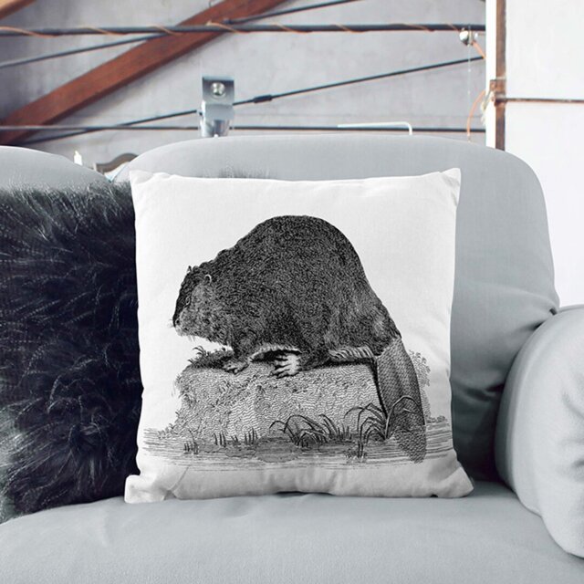 Beaver Cushion with Filling by Wayfair | ufurnish.com