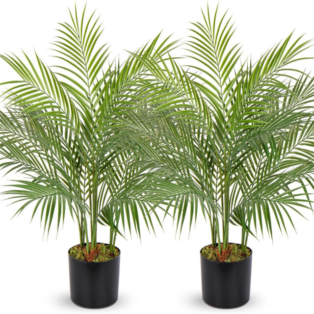 80cm Plant by Wayfair | ufurnish.com