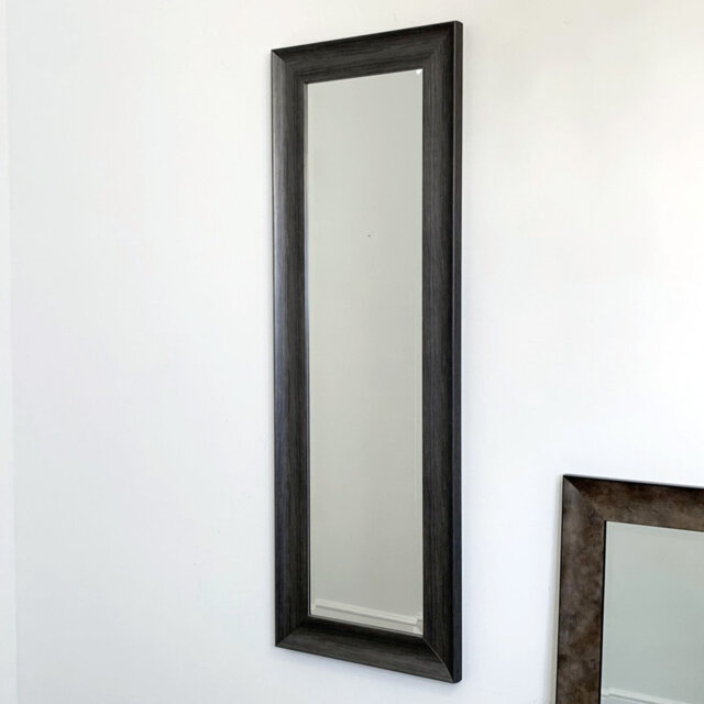 Panos Framed Wall Mounted Accent Mirror in Satin Black by Wayfair ...