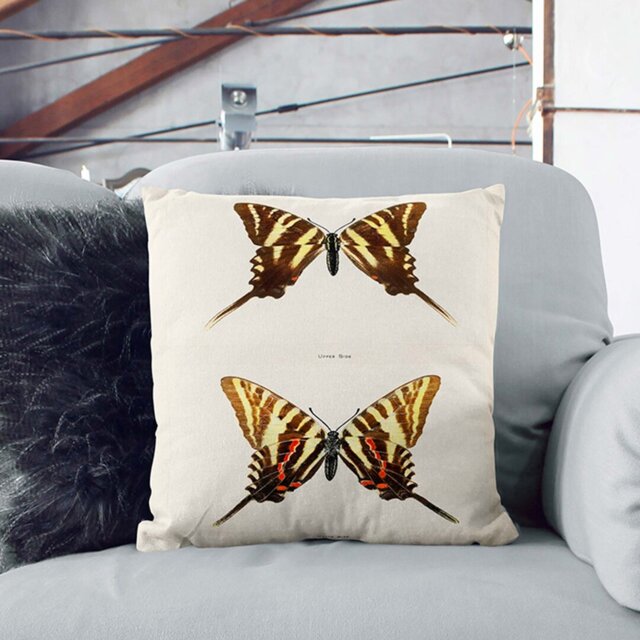 Papilio Ajax Butterfly by S.F. Denton Cushion with Filling by Wayfair ...