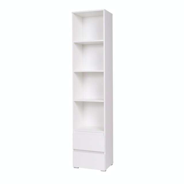 Elyot Bookcase by Wayfair | ufurnish.com
