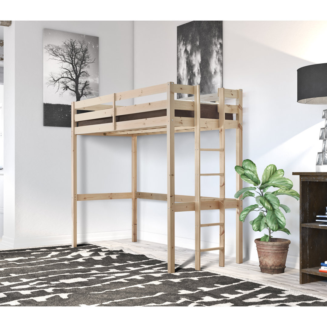High Sleeper Loft Bed Bed by Wayfair | ufurnish.com