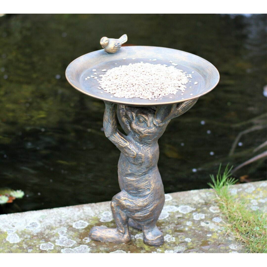 Rabbit Bird & Bath Feeder by Wayfair | ufurnish.com