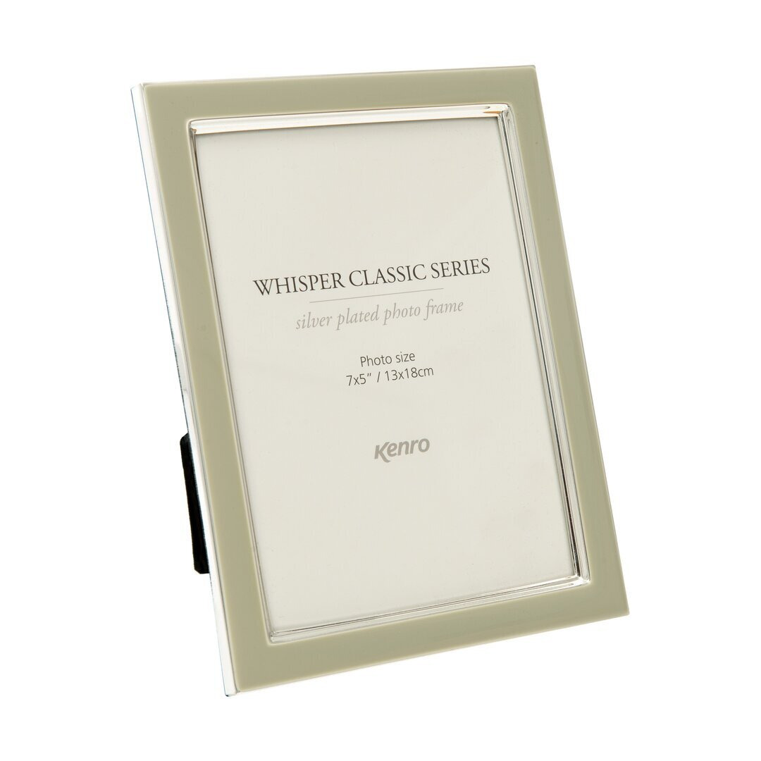 Whisper Picture Frame by Wayfair | ufurnish.com
