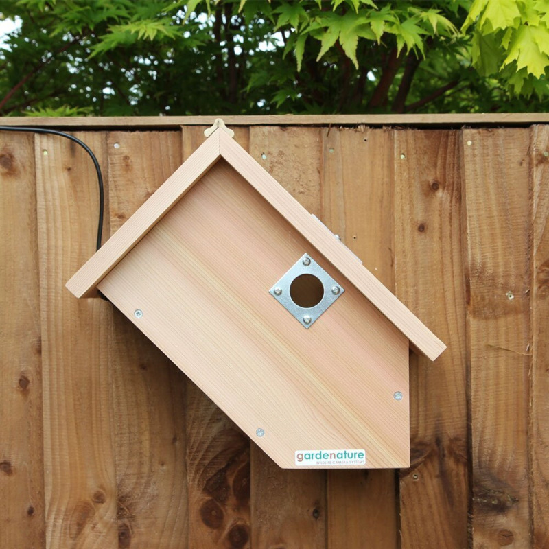 Peckover Mounted Bird House by Wayfair | ufurnish.com