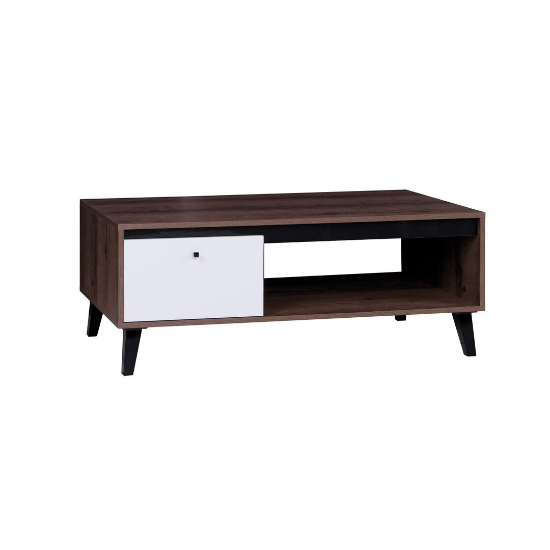 Clelie Coffee Table with Storage by Wayfair | ufurnish.com