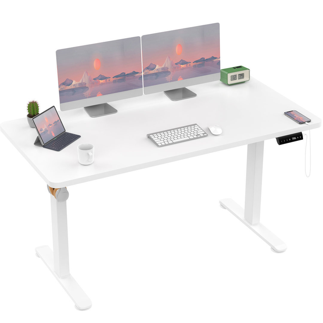 Dionysius 140CM x 70CM Electric Height Adjustable Standing Desk by ...