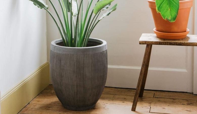 Extending Summer in Your Home and Garden | ufurnish.com